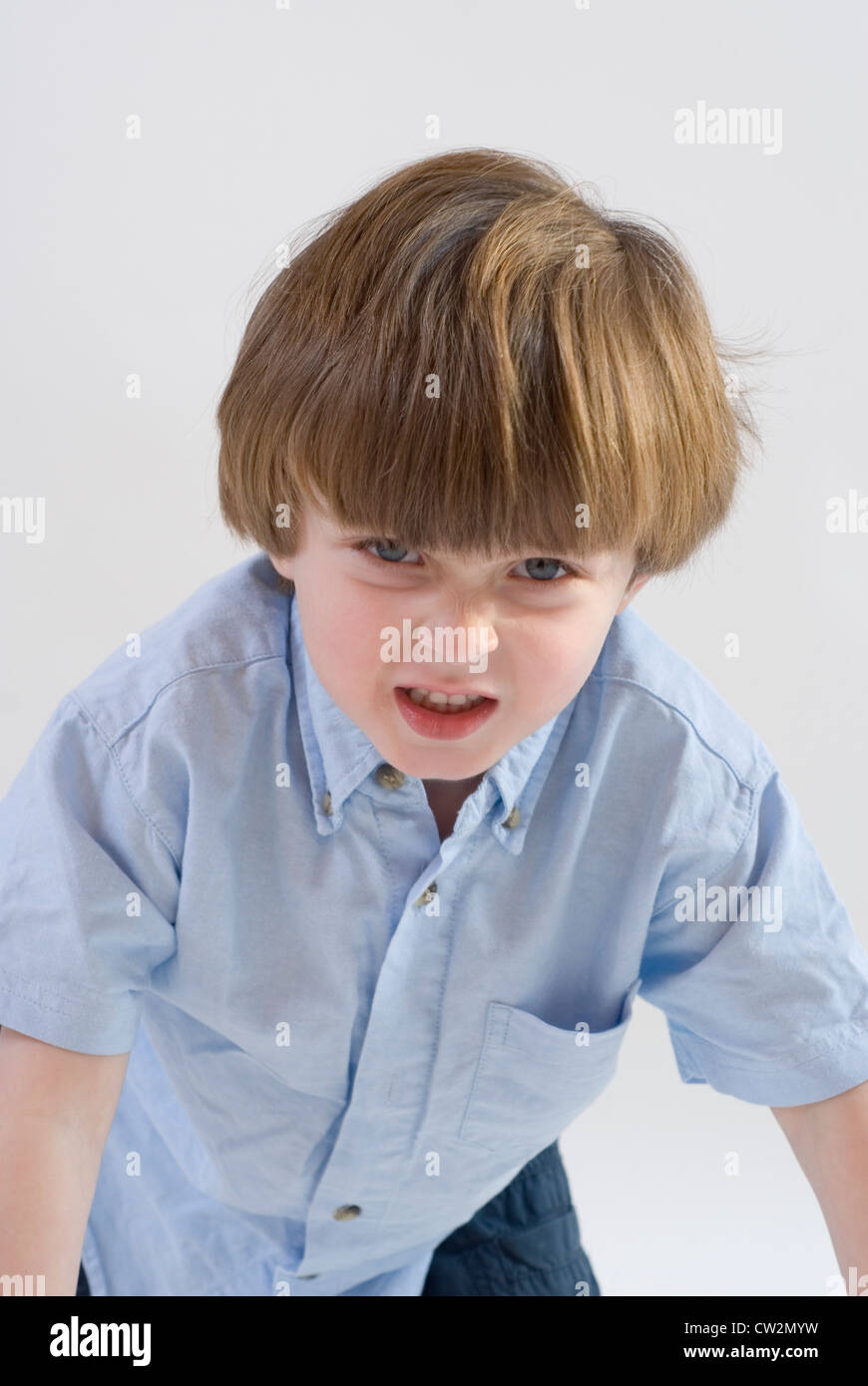 Lion Pretending High Resolution Stock Photography and Images - Alamy