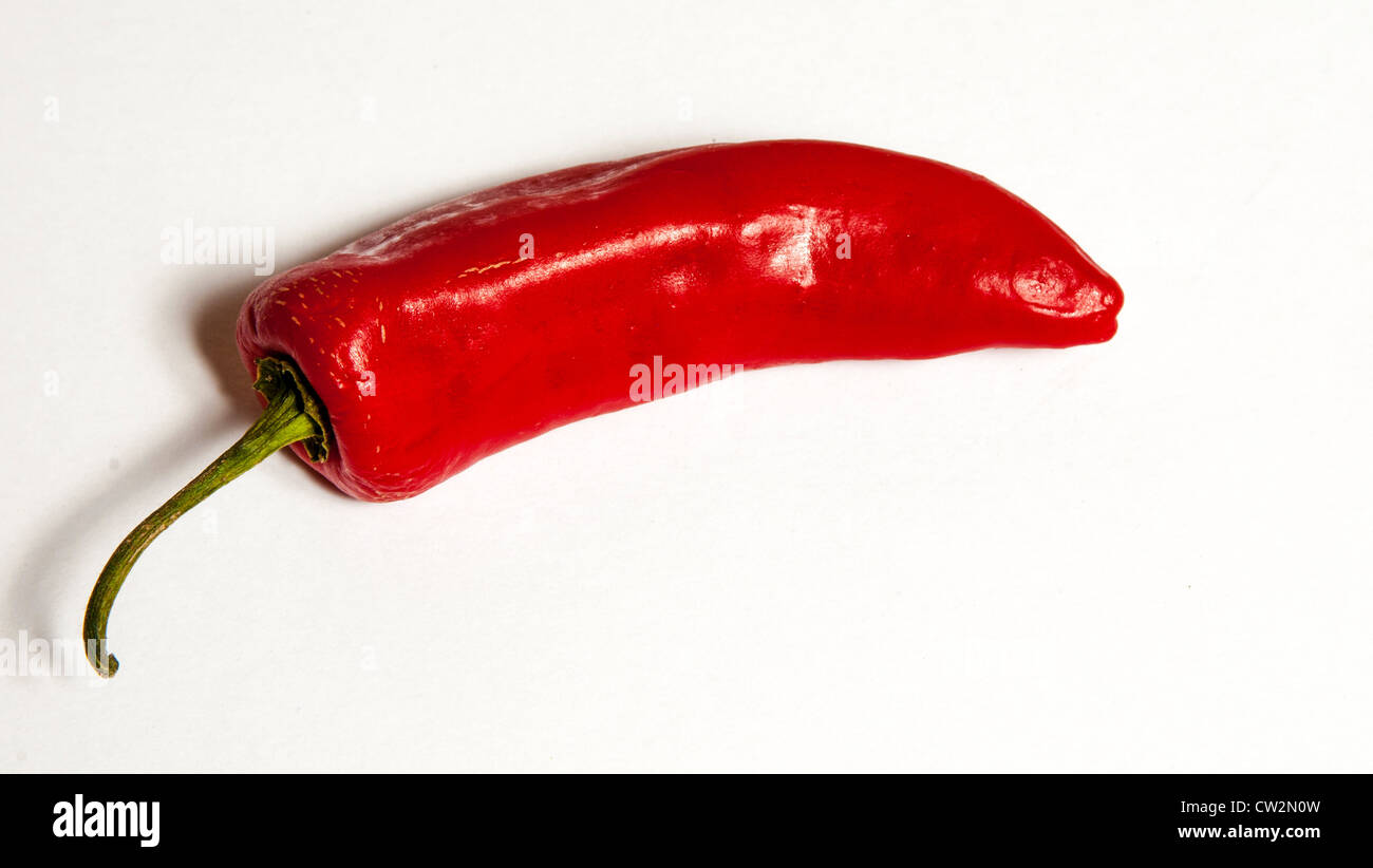 Red chili pepper on white background Stock Photo - Alamy