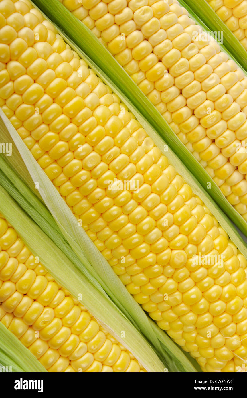 Raw corn kernel hi-res stock photography and images - Alamy