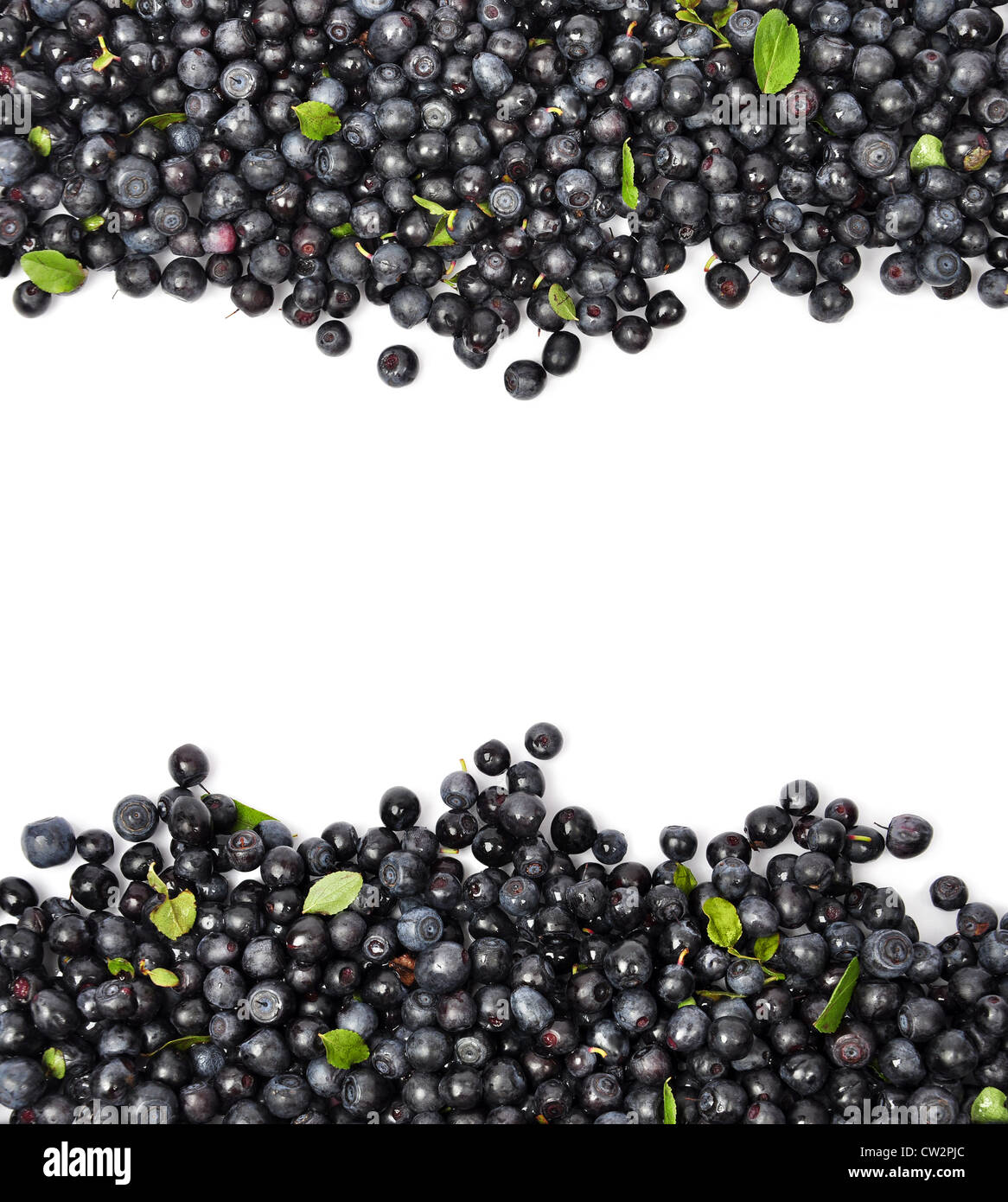 Blueberry border hi-res stock photography and images - Alamy