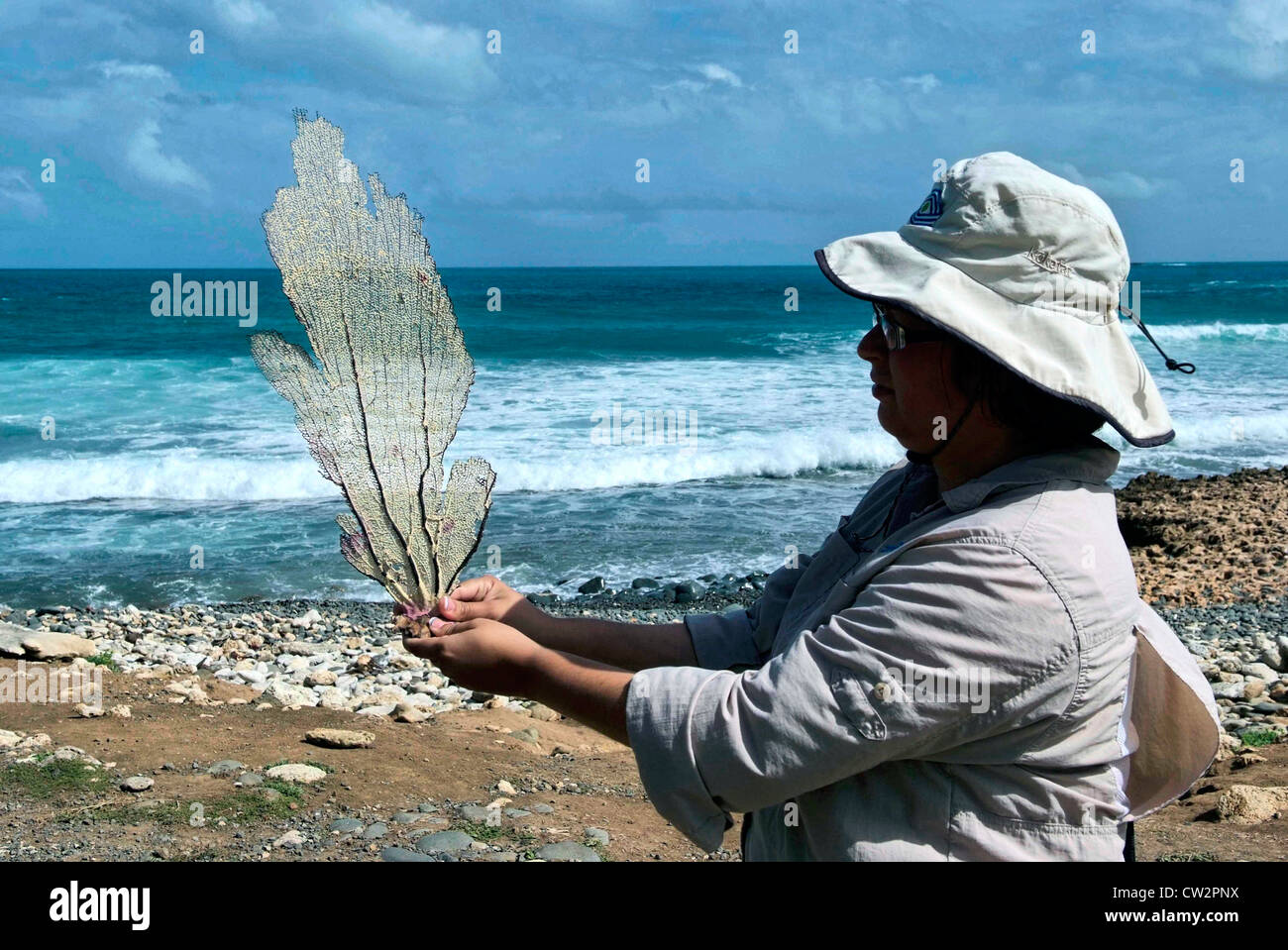 LAS CABEZAS de SAN JUAN NATURE RESERVE (El Faro) at Fajardo - managed ...