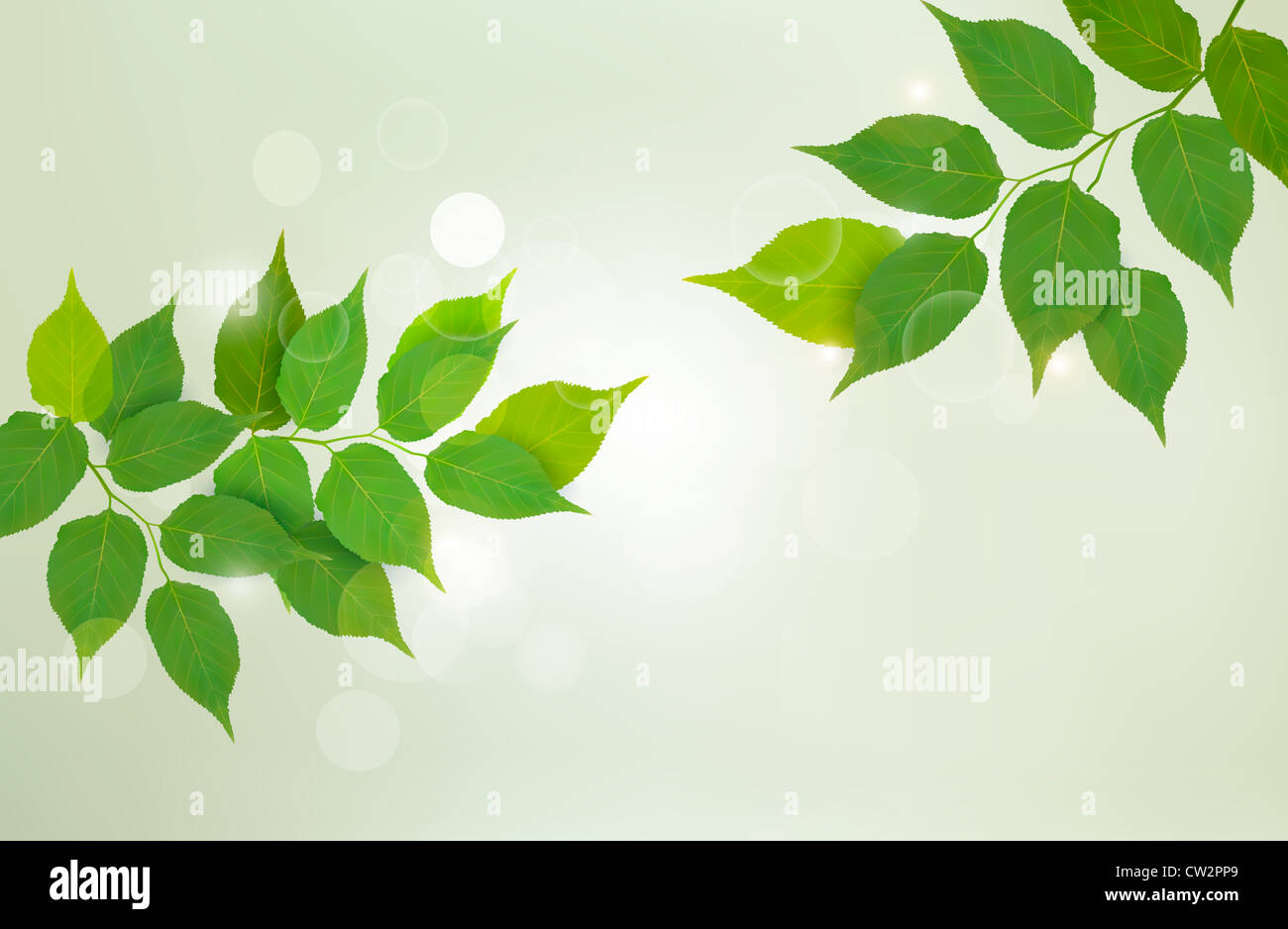 Nature background with green fresh leaves Stock Photo - Alamy