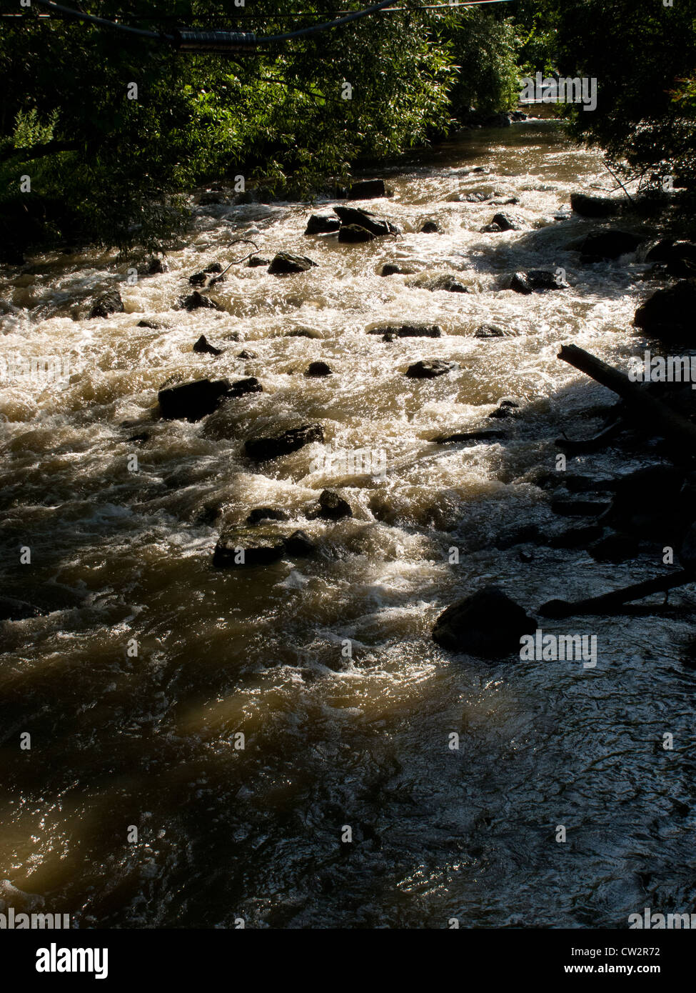 Brook stream creek hi-res stock photography and images - Alamy