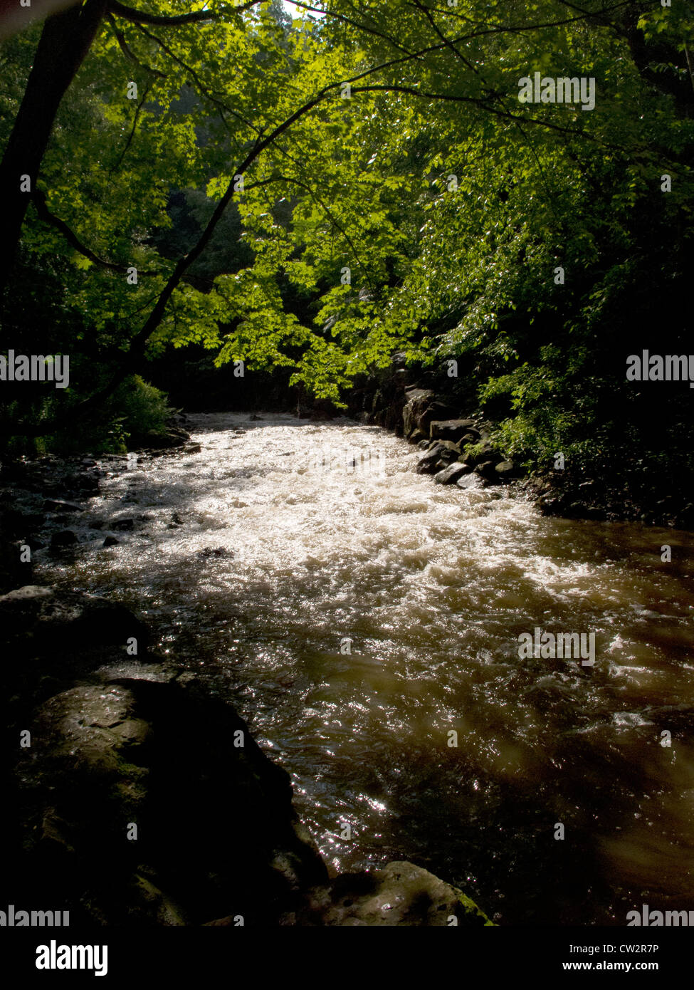 Brook stream creek hi-res stock photography and images - Alamy