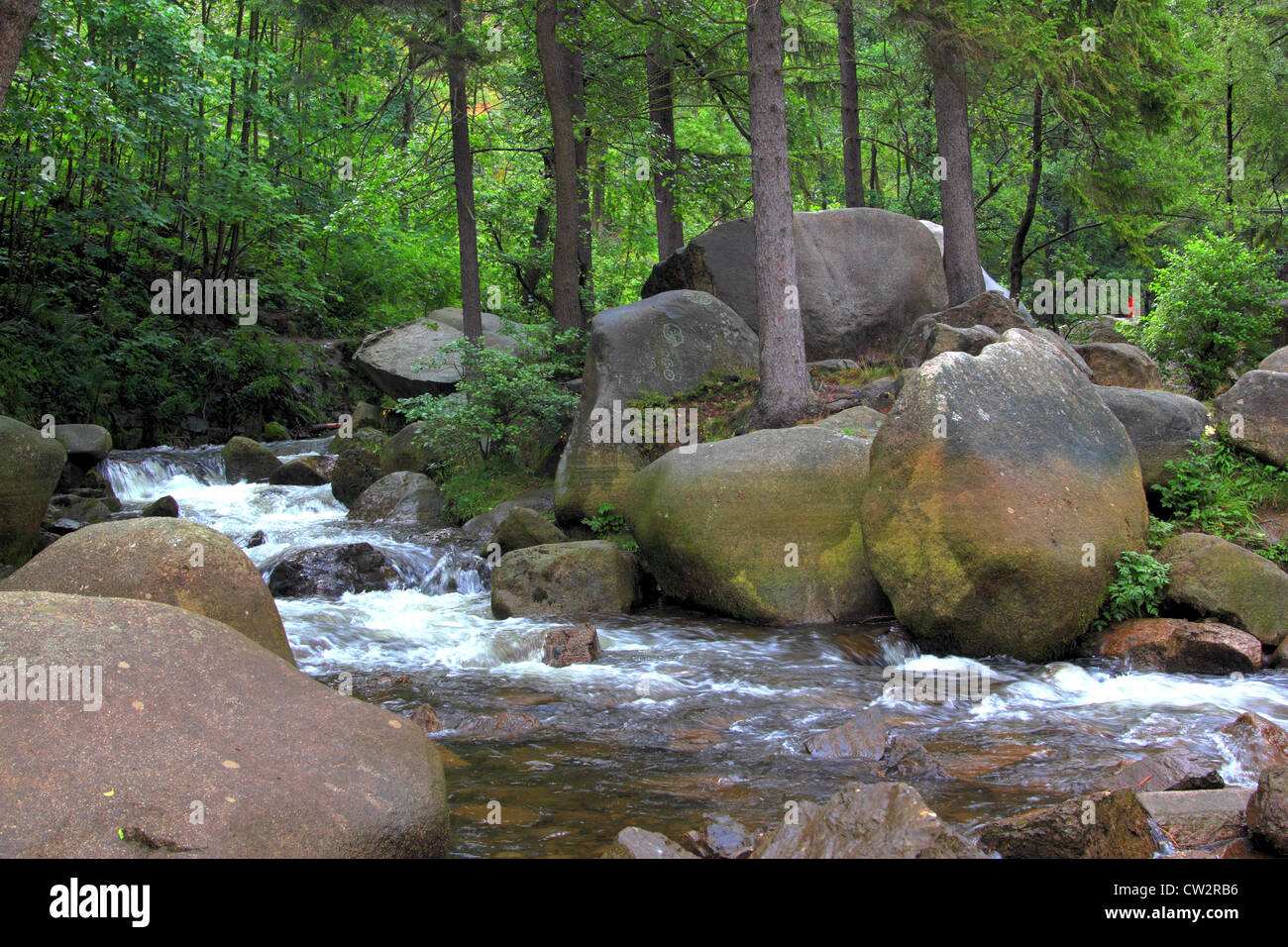 streambed of river oker in german harz region Stock Photo - Alamy
