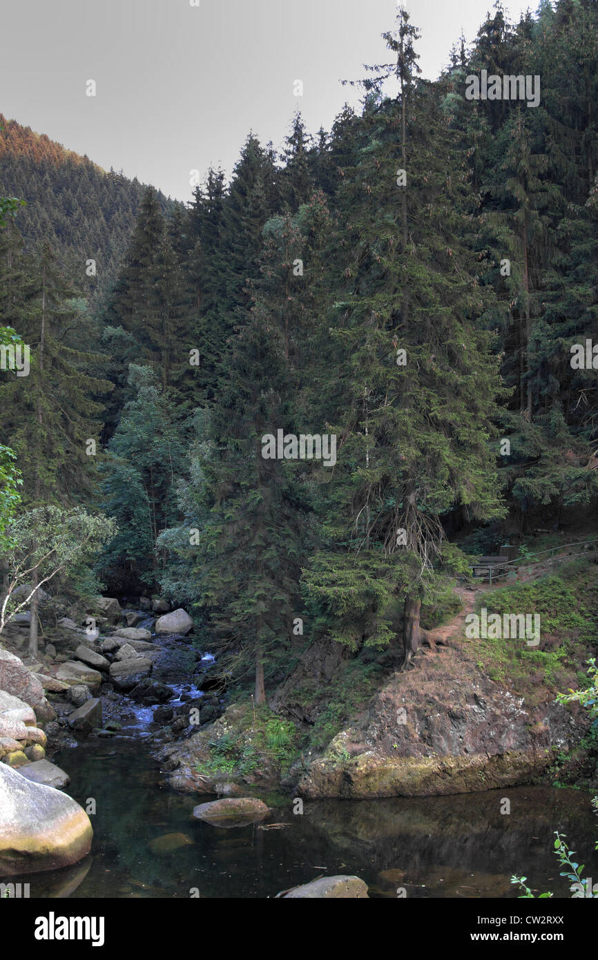 streambed of river oker in german harz region Stock Photo - Alamy