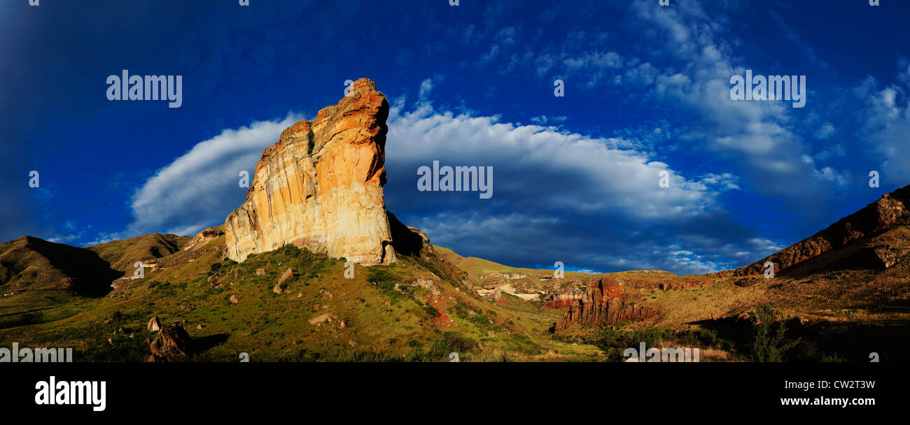 Brandwag High Resolution Stock Photography and Images - Alamy
