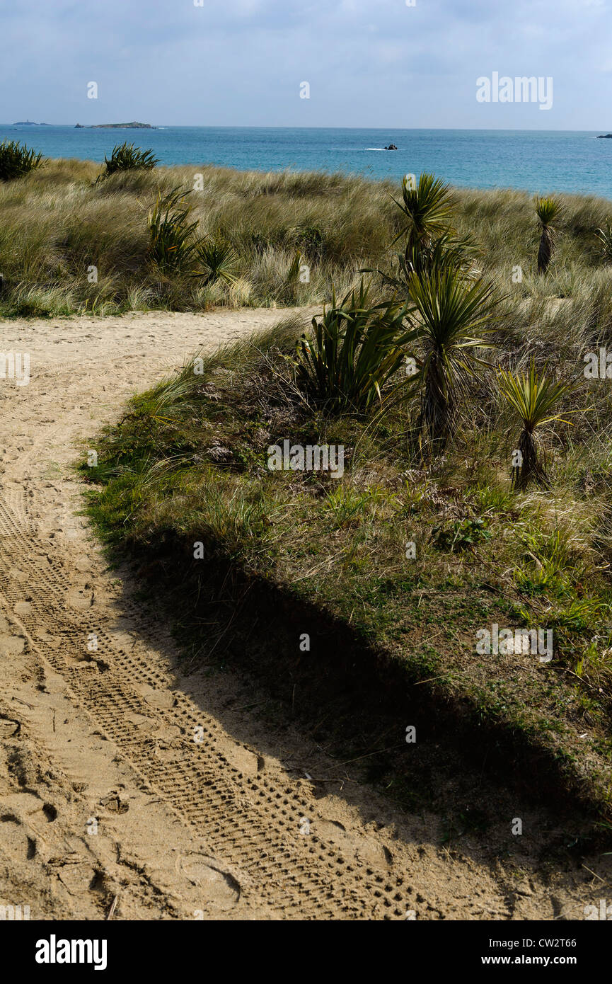 Shell Beach Isle of Herm Channel Islands Stock Photo - Alamy