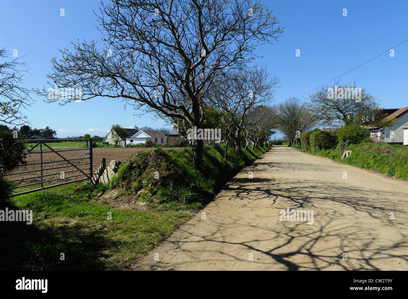 Sark insel hi-res stock photography and images - Alamy