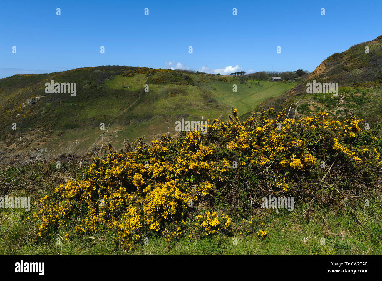 Hills ,Isle of Sark, Channel Islands Stock Photo - Alamy