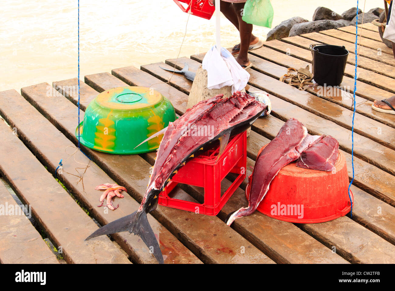 Fresh fish and fisherman in Santa Maria, Sal Island, Cape Verde africa ...