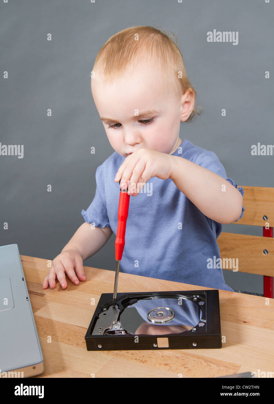 child working at open hard drive in grey background with laptop ...