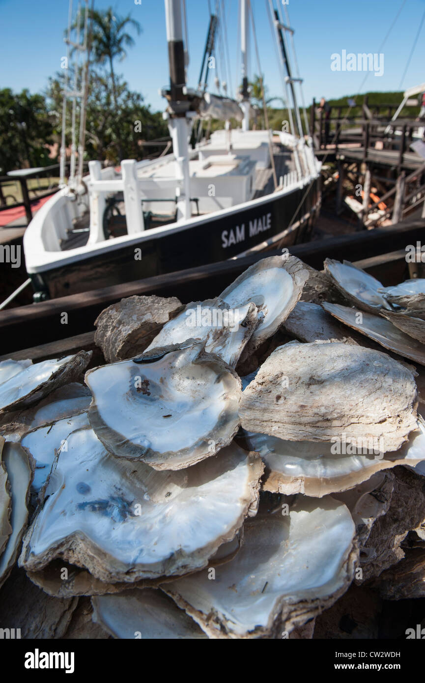 Pearl oyster shell hi-res stock photography and images - Alamy