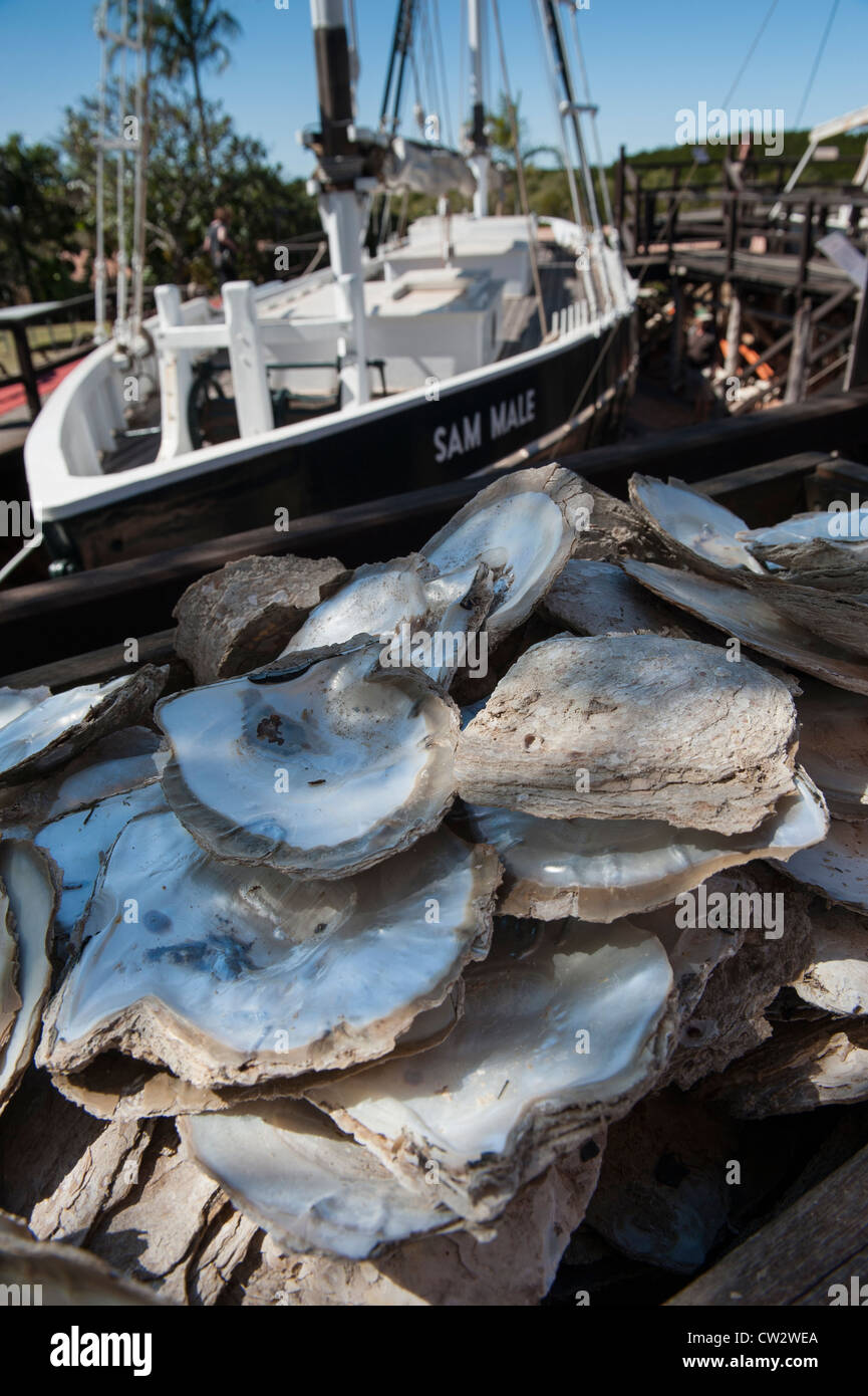 Pearl shells broome hi-res stock photography and images - Alamy