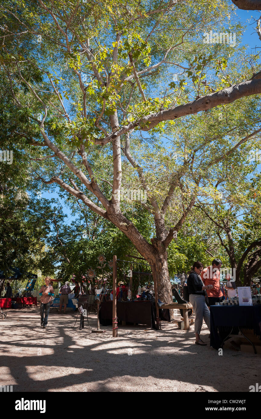 Fresh produce broome australia hi-res stock photography and images - Alamy