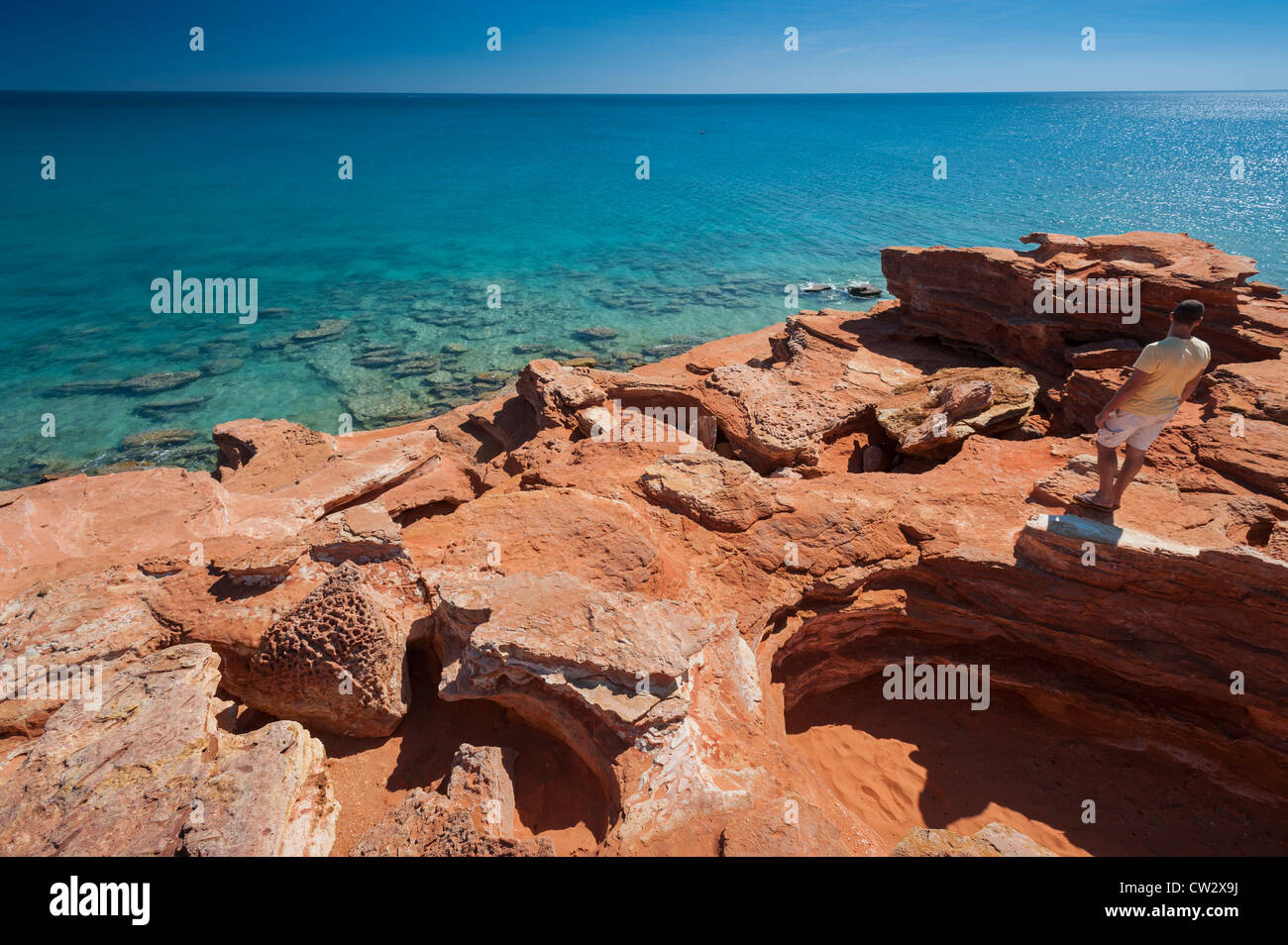 Nicolas baudin hi-res stock photography and images - Alamy