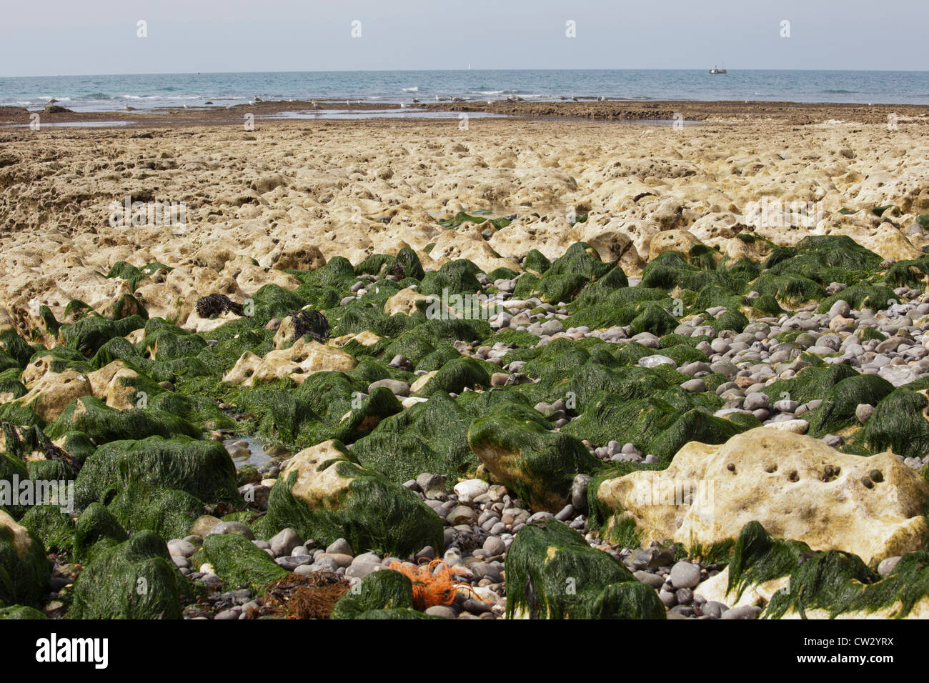 Sussex beach chalk Stock Photo - Alamy