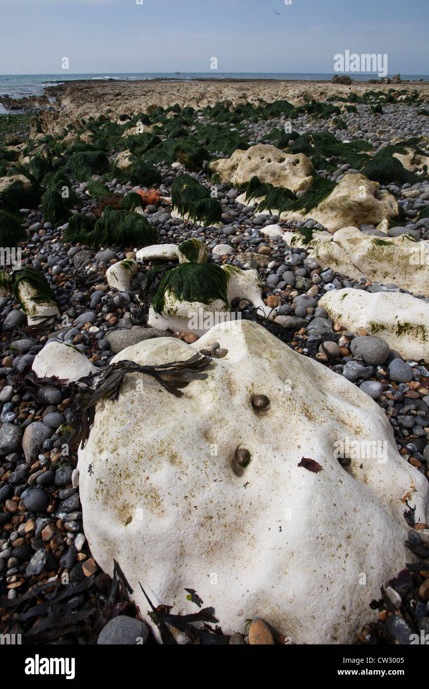 Sussex beach chalk Stock Photo - Alamy