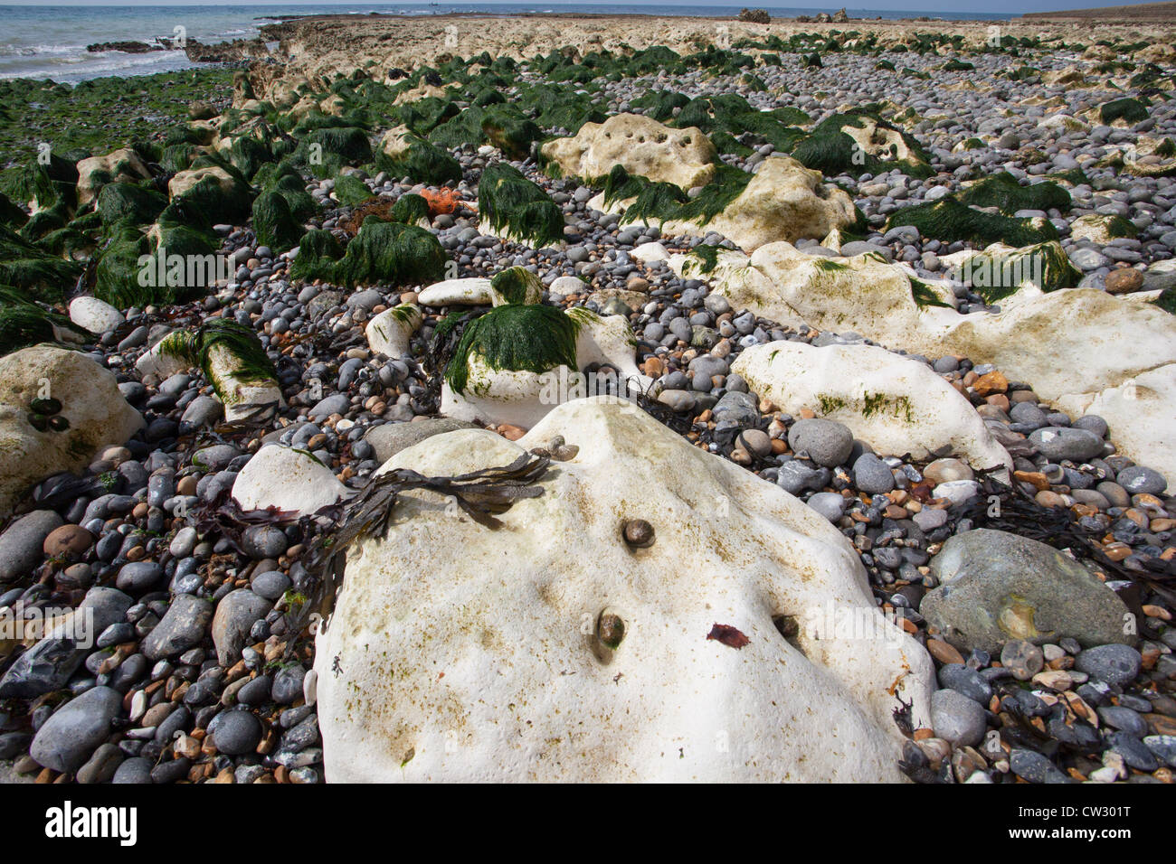 Sussex beach chalk Stock Photo - Alamy