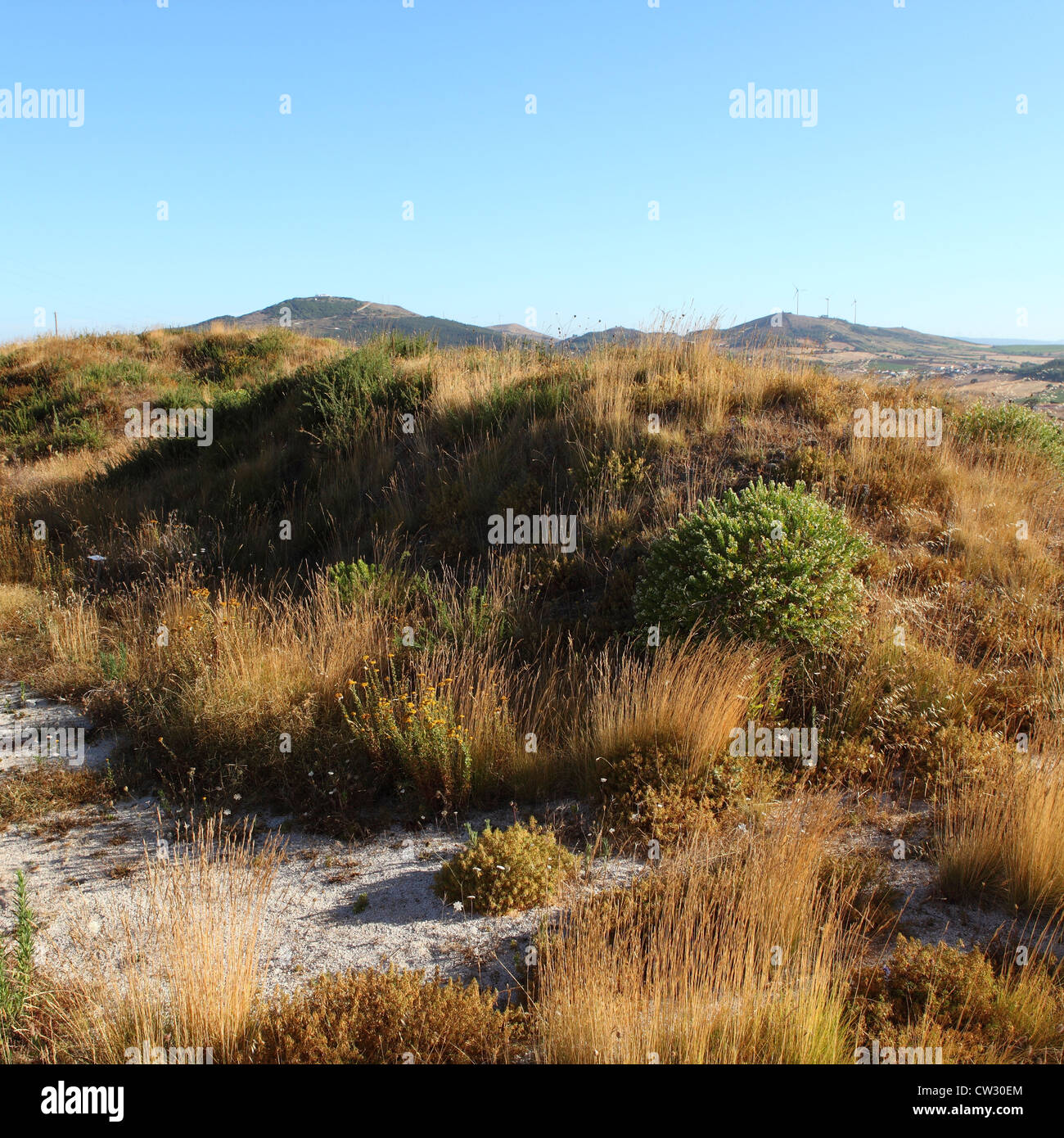 Overgrown earthworks at Fort 29 on the Lines of Torres Vedras around ...