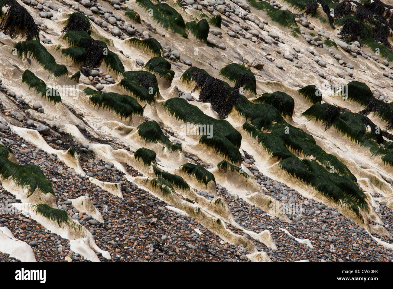 Chalk pebbles hi-res stock photography and images - Alamy