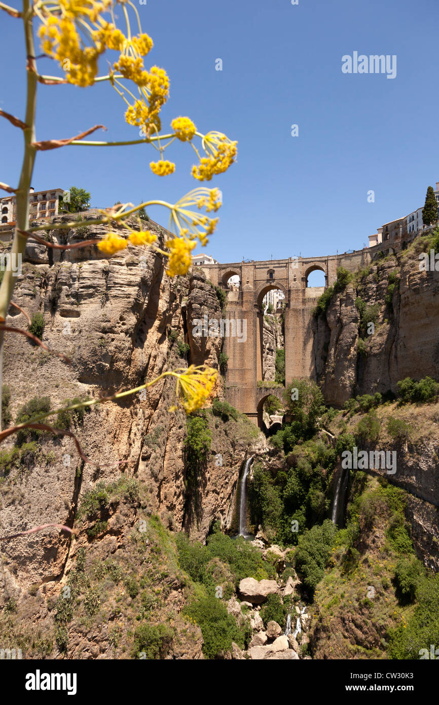 Ronda, Andalusia, Spain, Europe. Famous New Roman Bridge "Puente Nuevo ...