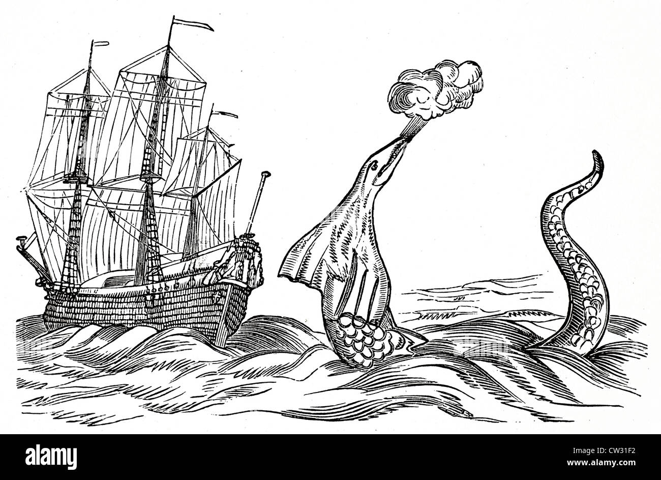 Reptiles in the sea Black and White Stock Photos & Images - Alamy