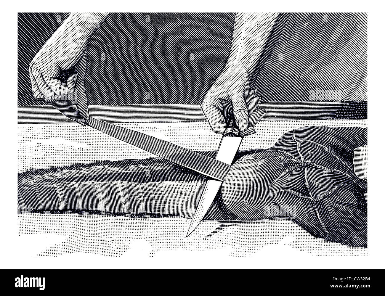 Skinning rabbits hi-res stock photography and images - Alamy