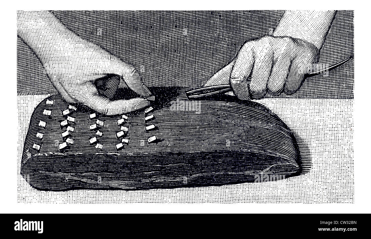 Proper row wide spiking hi-res stock photography and images - Alamy