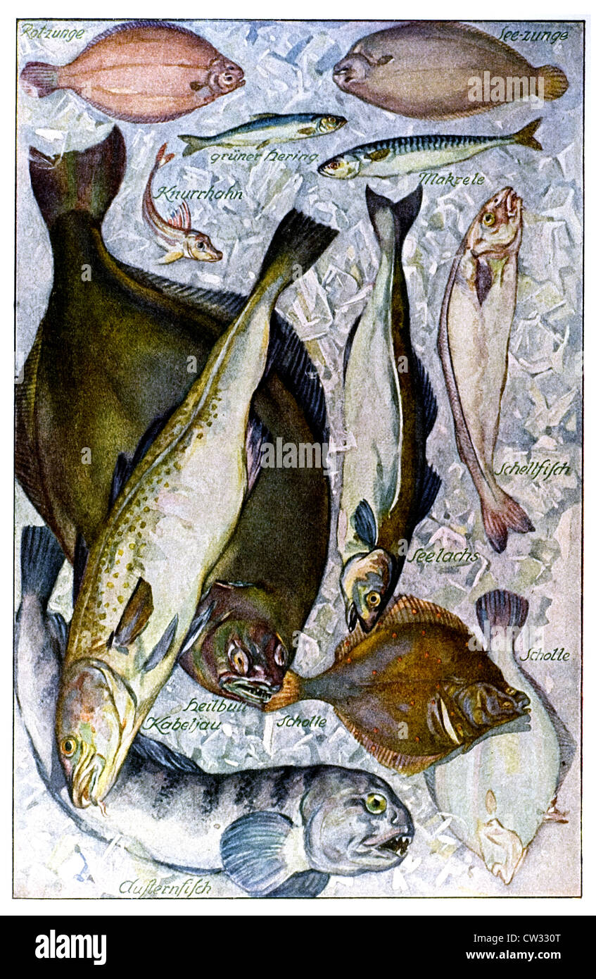 Excellent hi-res stock photography and images - Alamy