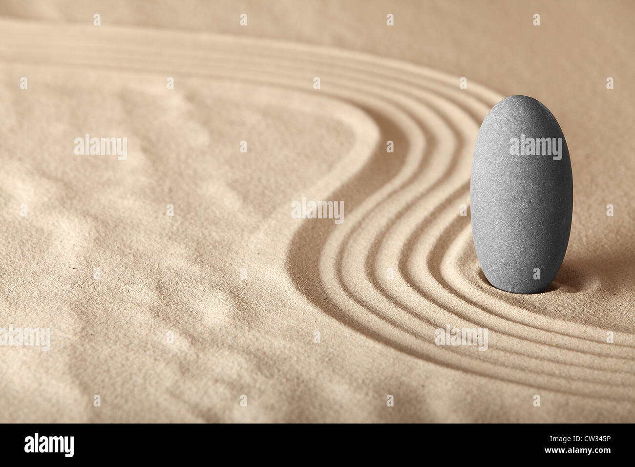 balance harmony and purity zen garden background for meditation and ...