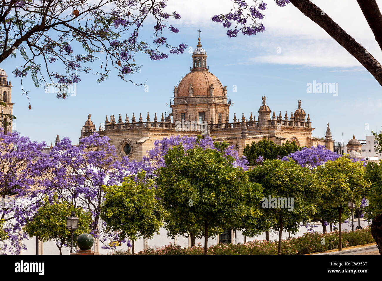Jerez de la Frontera, Andalucia, Spain, Europe. view of cathedral ...