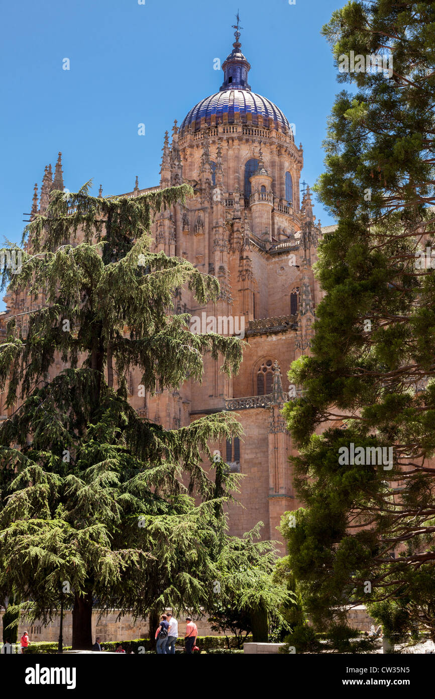 Salamanca, Castile and Leon, Spain, Europe. The stunning Cathedral ...