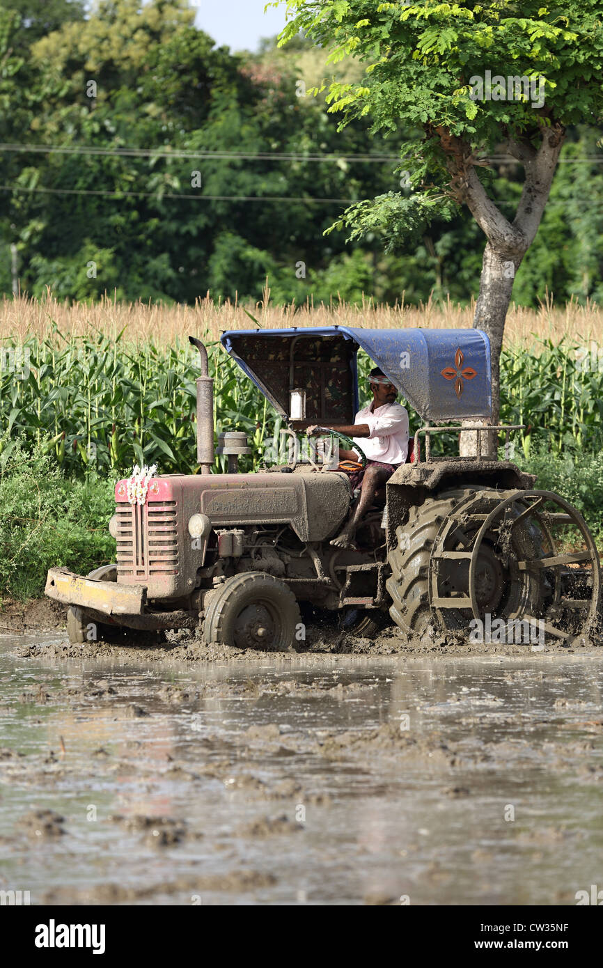 Tractor preparing a paddy field Andhra Pradesh South India Stock Photo ...