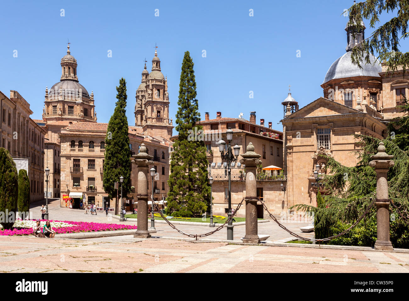 Salamanca, Castile and Leon, Spain, Europe. The stunning University ...