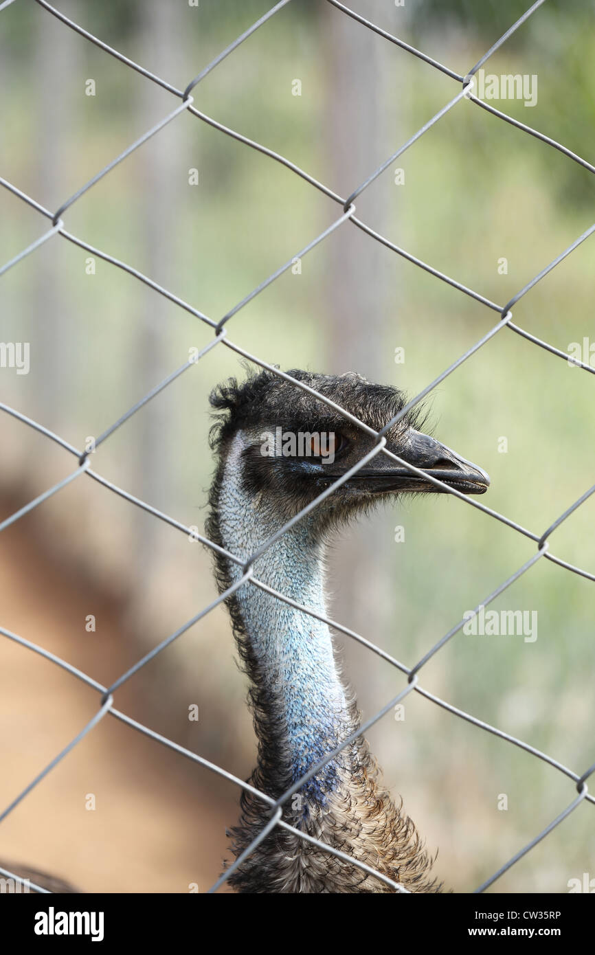 South indian farming hi-res stock photography and images - Alamy