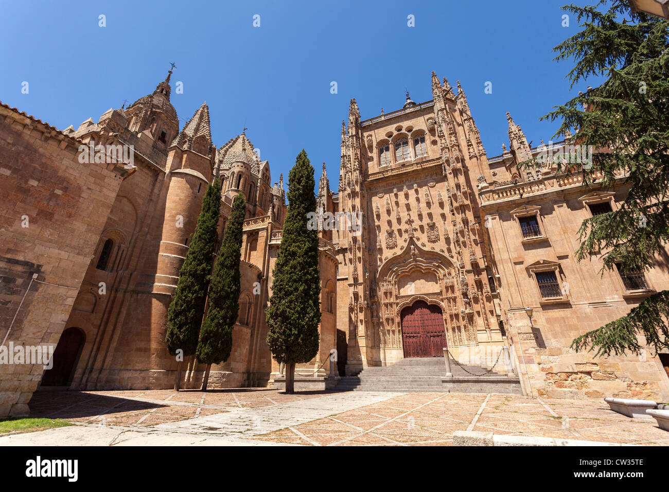 Salamanca, Castile and Leon, Spain, Europe. The stunning old Cathedral ...