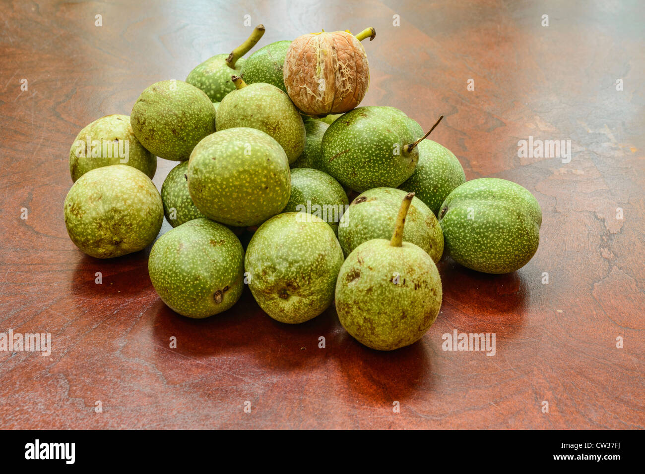 Fresh, raw walnuts from Kishineu, Moldova. Unpeeled, enclosed in a ...