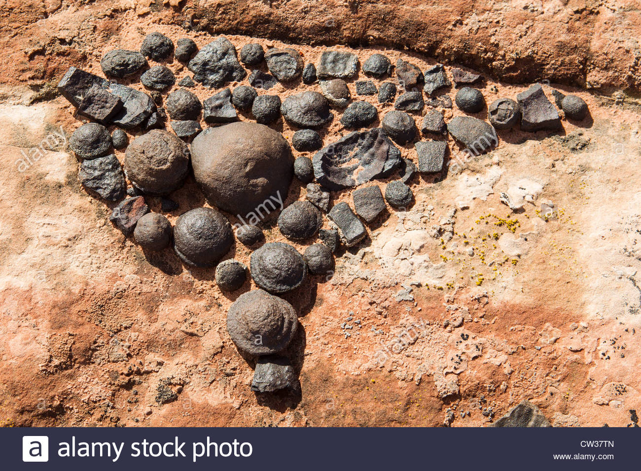 What Are Concretions at Luke Earsman blog