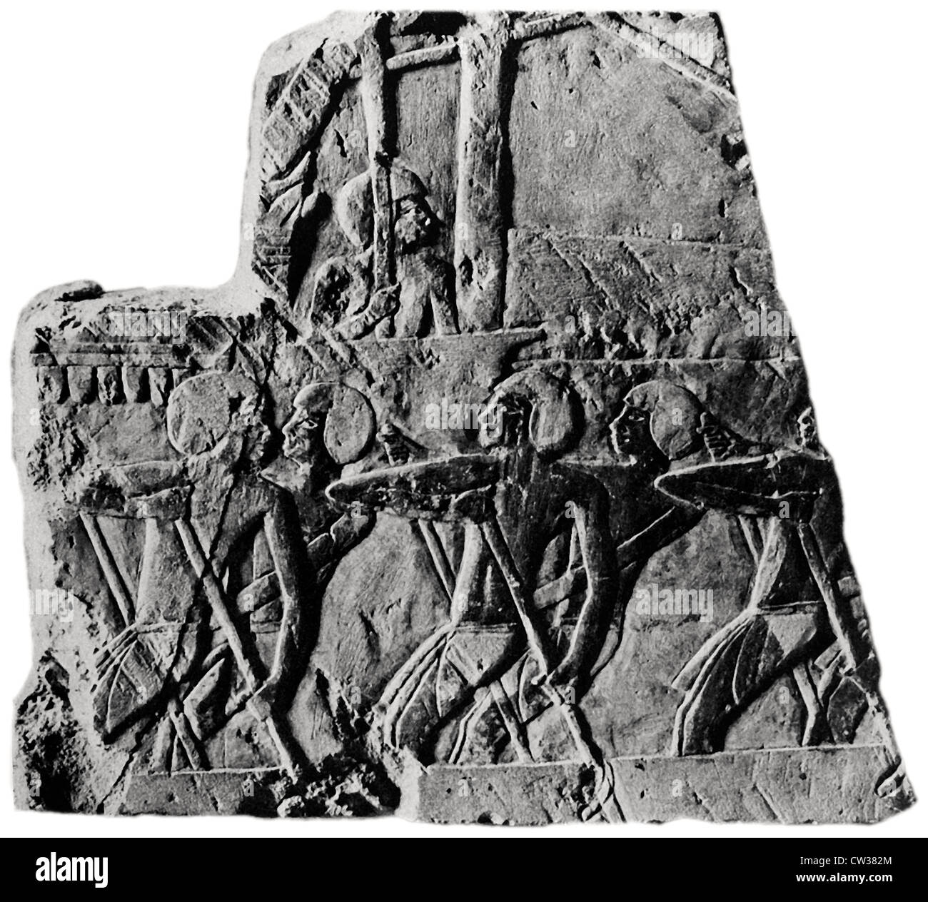 Rowers and helmsman Stock Photo - Alamy