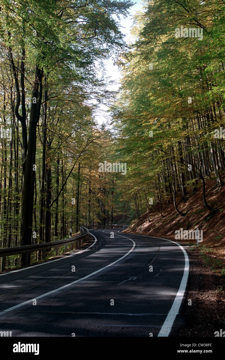 A deserted country road in the Thuringian Forest Stock Photo - Alamy