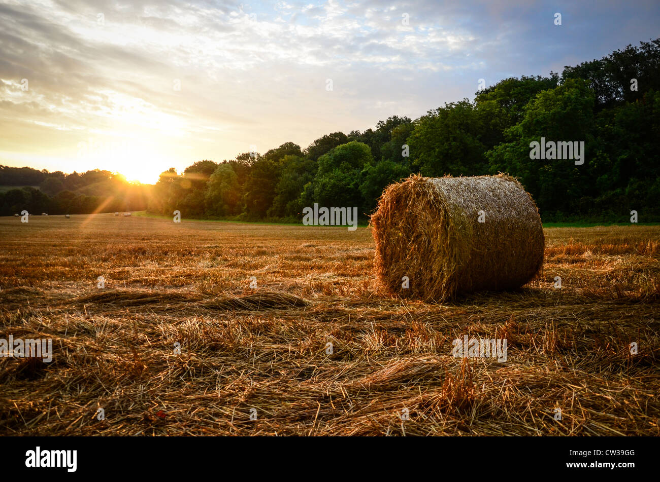 Dawn sunshine over English countryside Stock Photo - Alamy