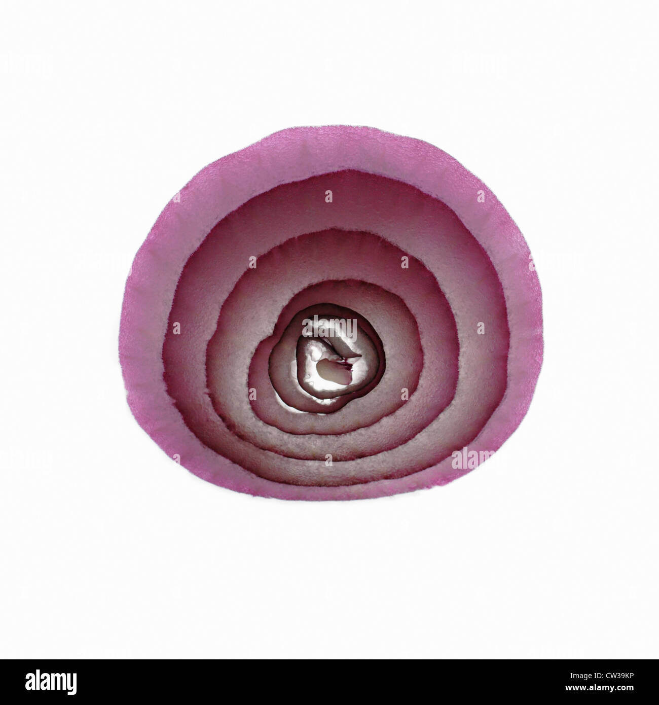 Cross section of a red onion against white background Stock Photo - Alamy