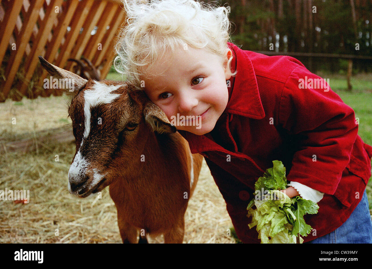 Child with Goat, Brandenburg Stock Photo - Alamy