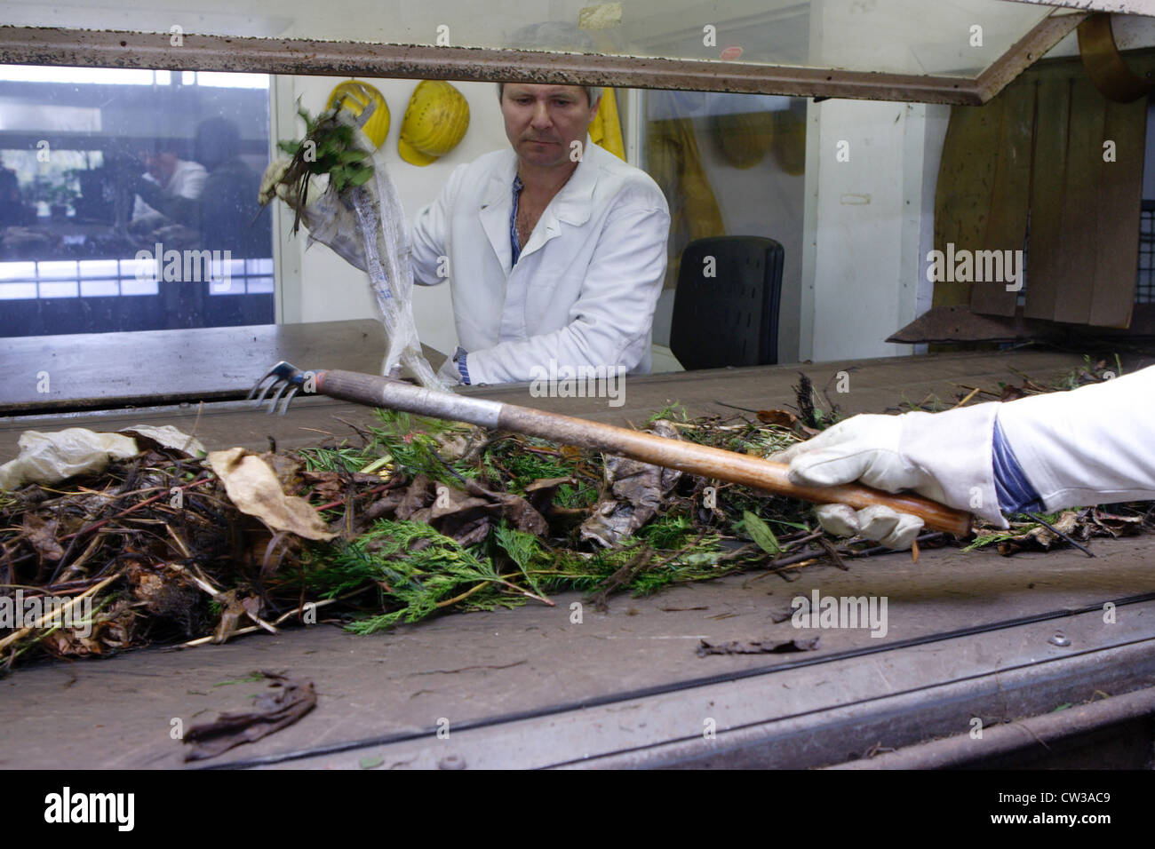 Composting plant, organic waste Stock Photo - Alamy