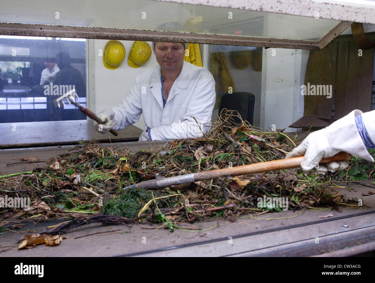 Composting plant, organic waste Stock Photo - Alamy