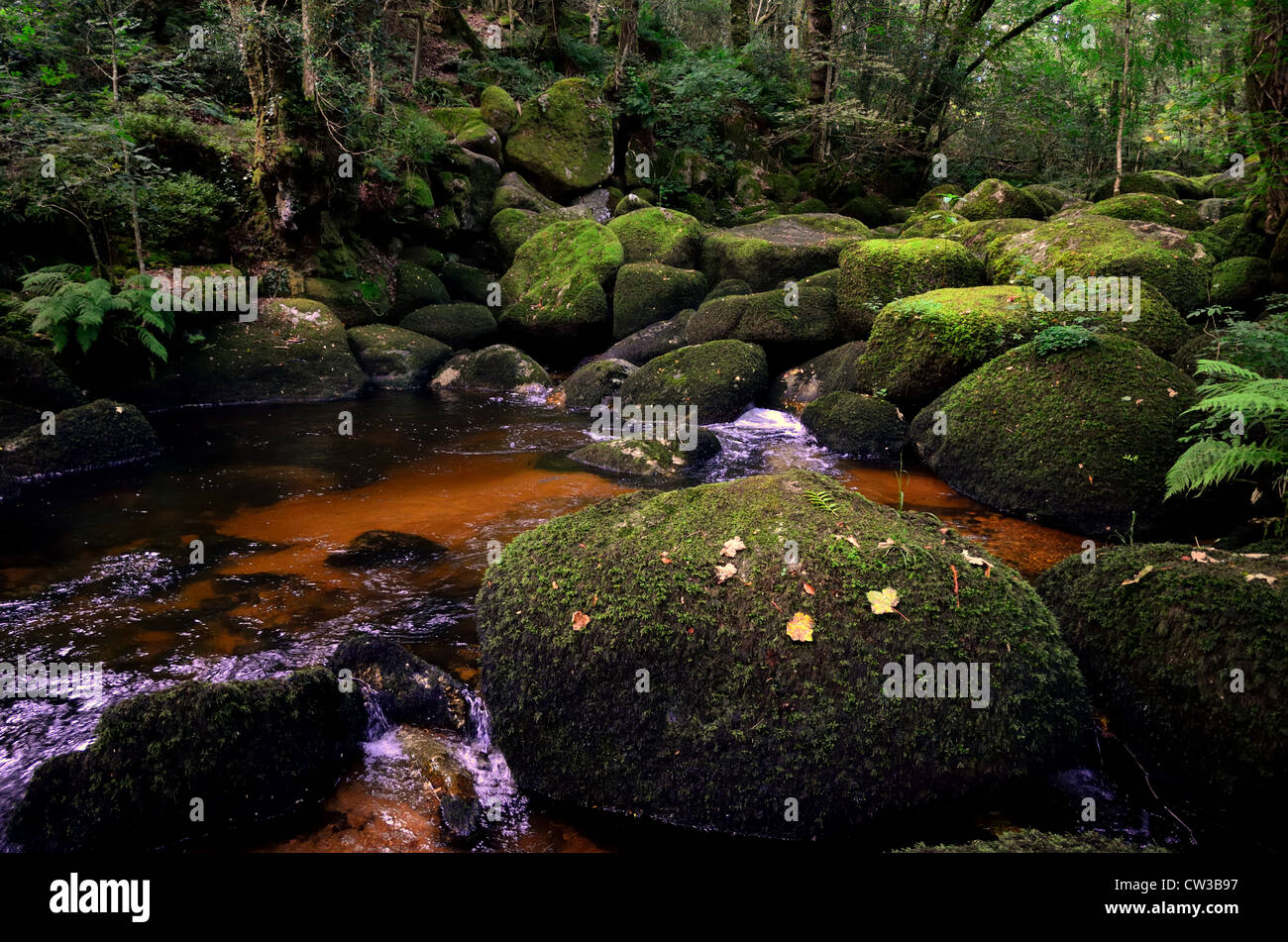 Cleave High Resolution Stock Photography and Images - Alamy