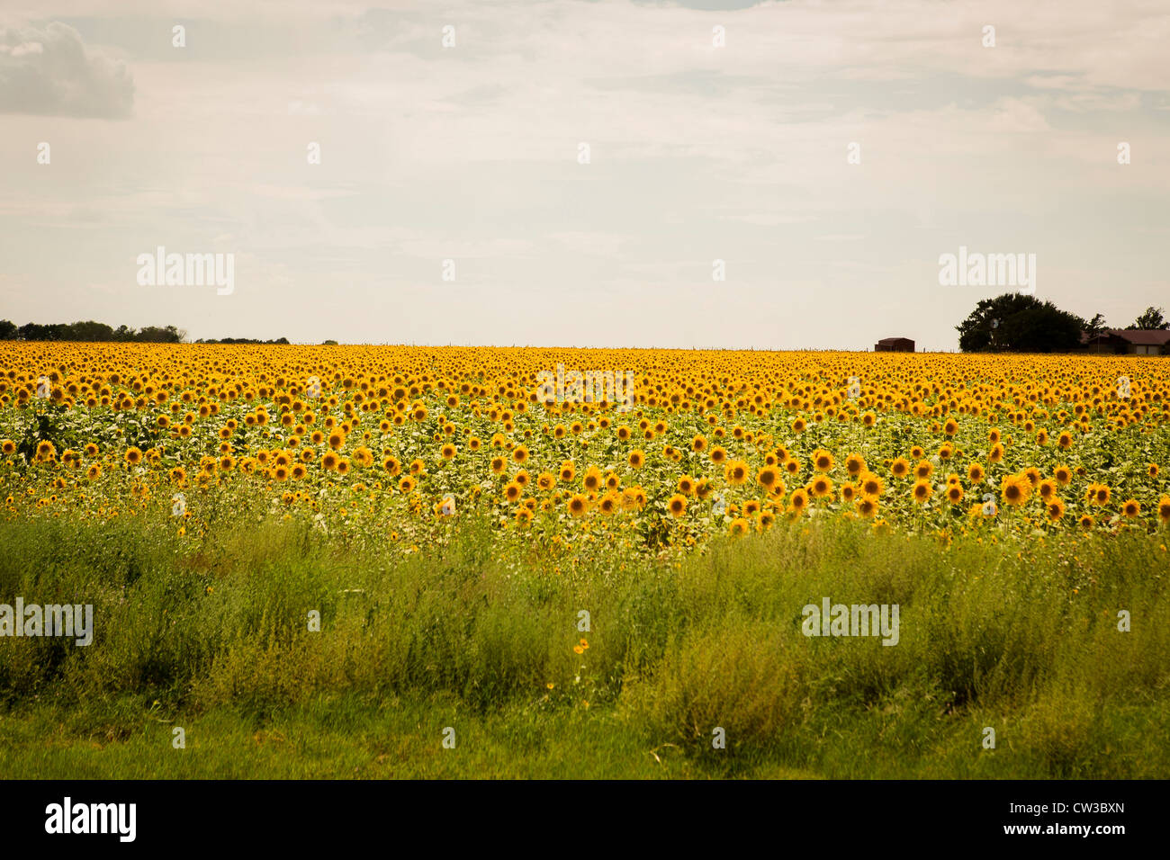 Texas panhandle hi-res stock photography and images - Alamy