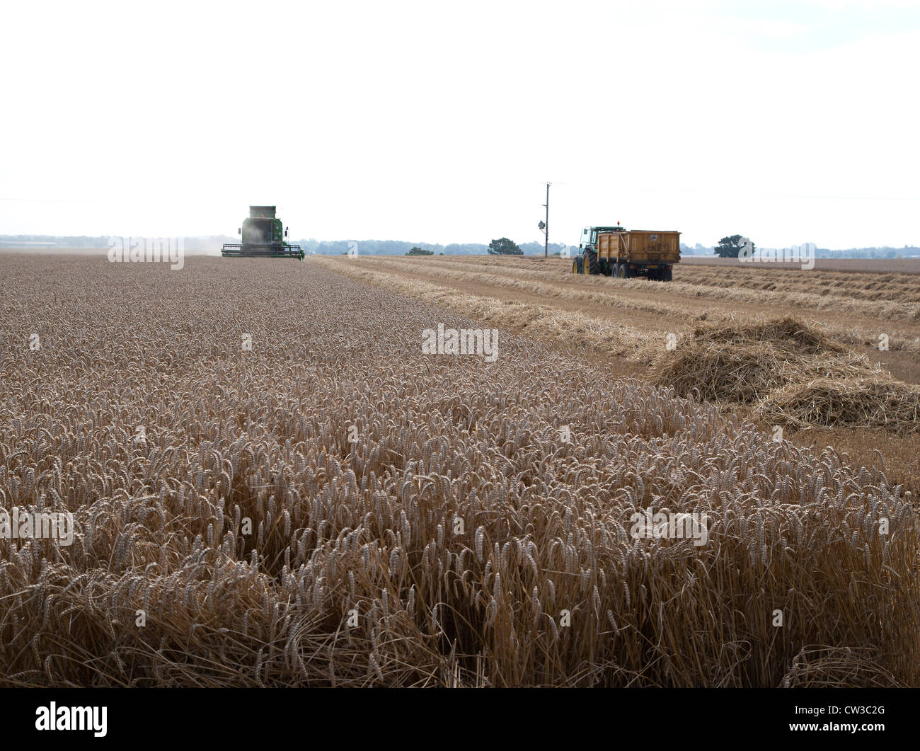 Combine Harvester working cutting crops Stock Photo - Alamy