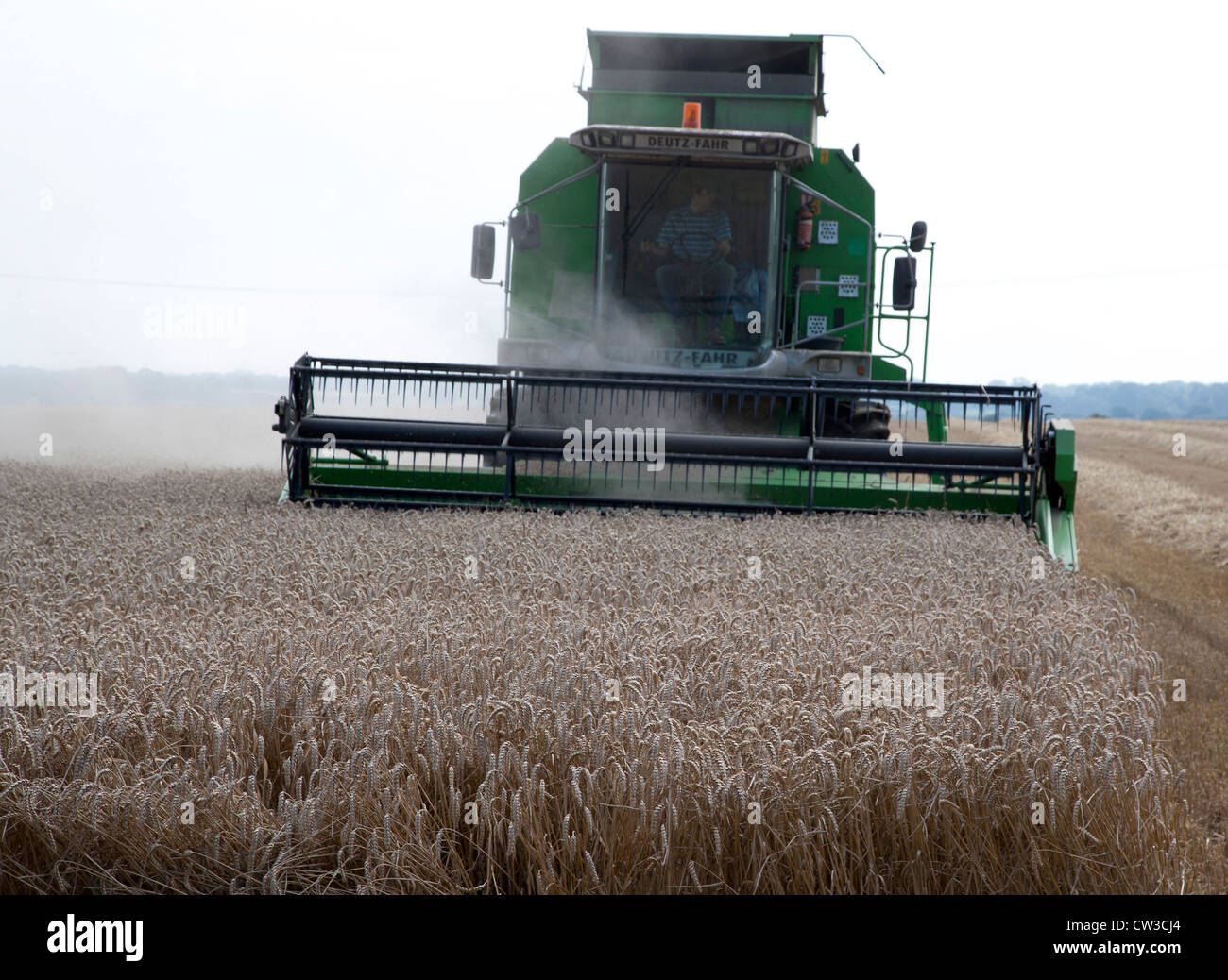 Combine Harvester working cutting crops Stock Photo - Alamy
